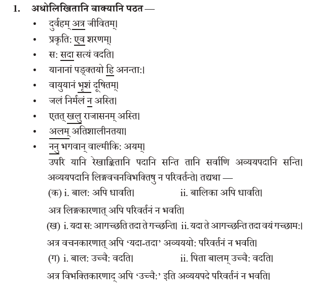 ncert-class-10-sanskrit-abhyaswaan-bhav-avyayani